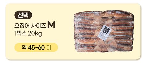 원양산 선동오징어 20kg M 50마리내외 냉동 통오징어 최저가 사업자 식자재 식봄