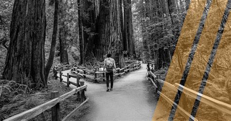 Ensuring High Availability With Automatic Failover For App Services