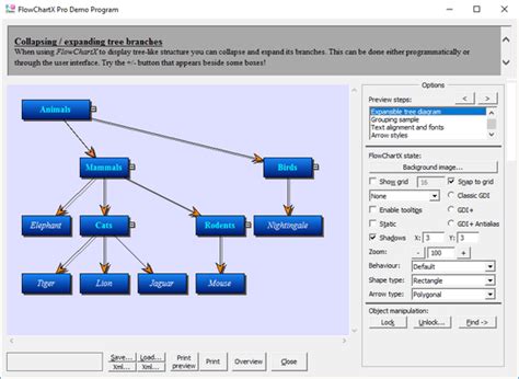 Mindfusiondiagramming For Activex Professional Mindfusiondiagramming For Activex Professional