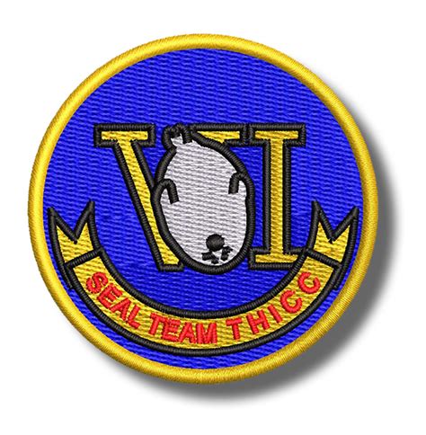 Seal Team Embroidered Patch 6x6 Cm Patch