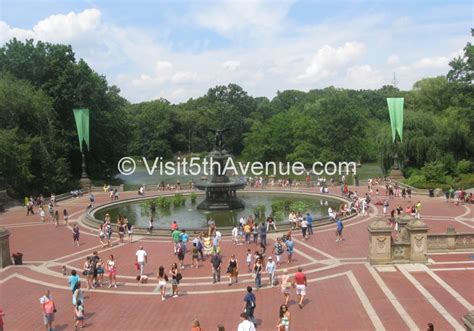 Central Park Visit 5th Avenue