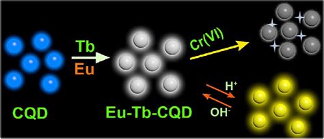 Schematic Representation Of White Light Emitting Lanthanide Based