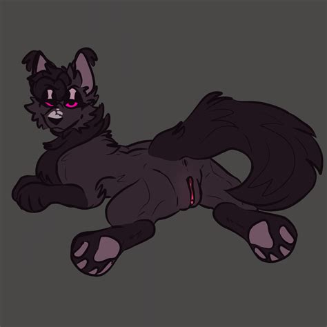 Rule 34 Animal Genitalia Cat Feline Female Feral Furry Nightcloud