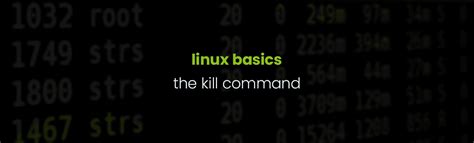 Linux Basics The Kill Command And Process Signals Hostafrica