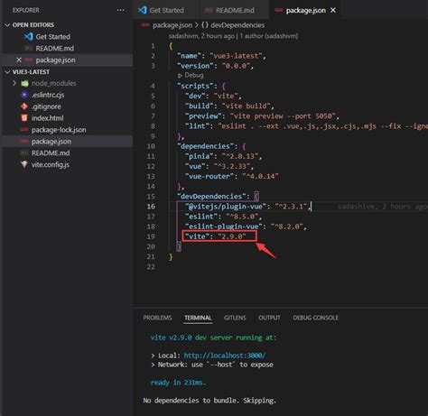 Unable To The Run Vue App With Vite Version 290 And Above · Issue