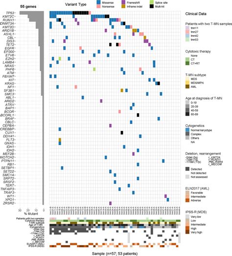 Landscape Of Somatic Variants Observed In 53 T Mn Patients This Plot