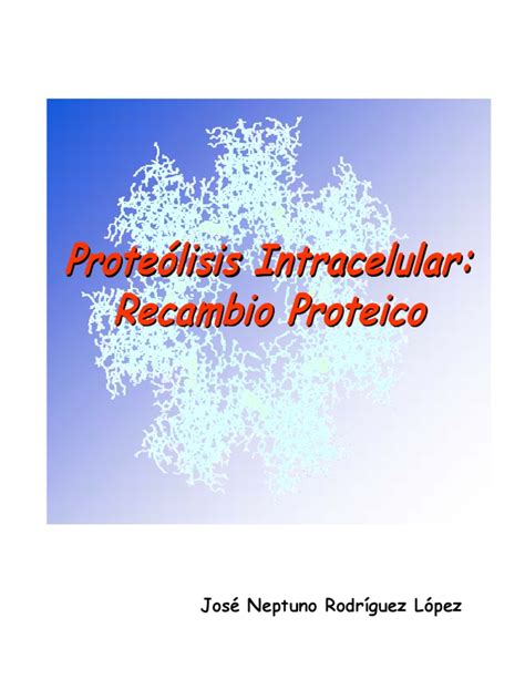 El Equilibrio Dinámico Entre La Síntesis Y Degradación Proteica El