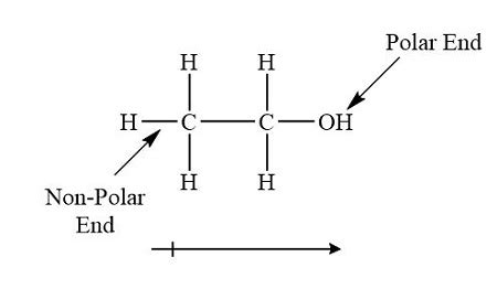 Provide The Following Information For Ch3ch2oh A Lewis Dot Structure