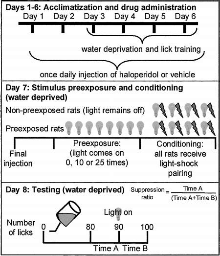The Latent Inhibition Paradigm Download Scientific Diagram