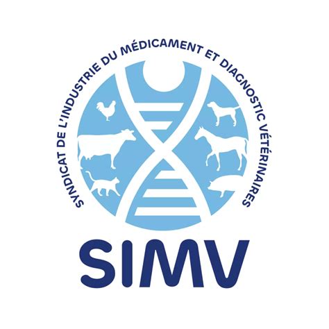 Simv Et Ylly Une Refonte Réussie Pour Le Site De Référence Des