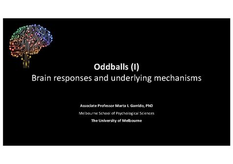 Oddball Paradigm Oddballs I Brain Responses And Underlying