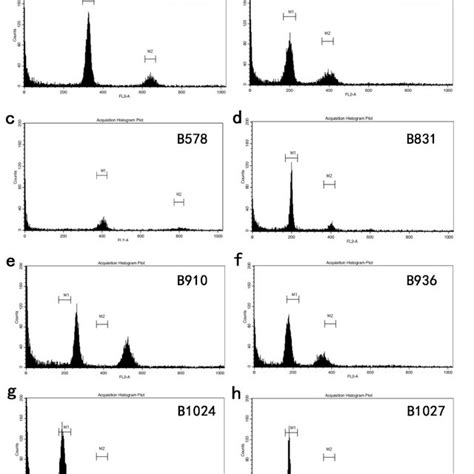 Detection Of Ploidy By Flow Cytometry The Letters A H Represented