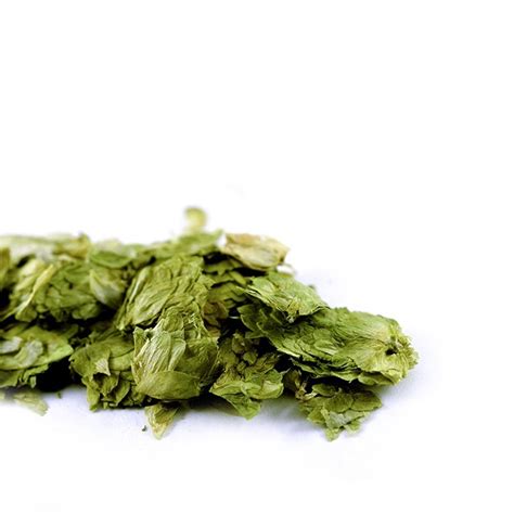 Hops Buy Online • Herb Stomp