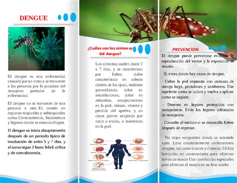 Dengue Folleto Dsfsd ¿cuáles Son Los Síntomas Del Dengue Dengue