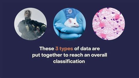 Iarc Monographs Hazard Classification Process Iarc International