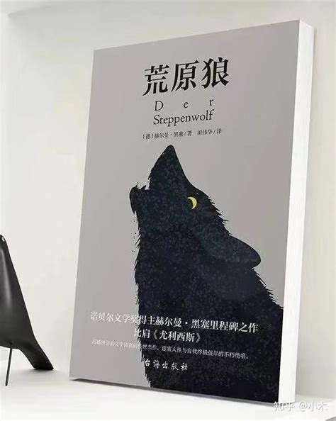 《荒原狼》：狼性和人性哪一个更恶毒？ 知乎