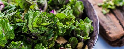 Flower Sprouts Im Steckbrief Infos Zu Aussaat Pflanzung Und Pflege Krautandrüben