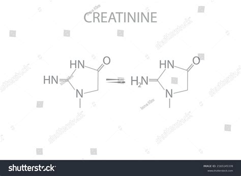 Creatinine Molecular Skeletal 3d Chemical Formula Stock Vector Royalty