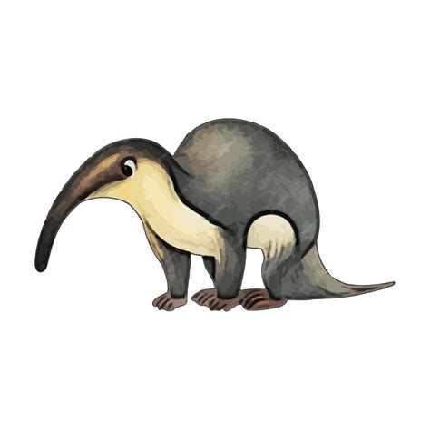 Premium Vector Ant Eater Watercolor Vector Illustration