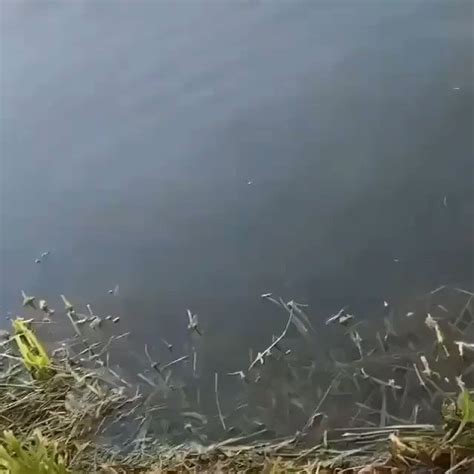 Lydia Raley On Twitter Thats How You Don It 👍🏻