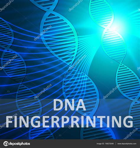 Dna Fingerprinting Meaning Genetic Profiling 3d Illustration — Stock