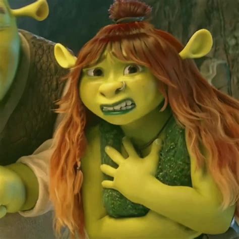 Shrek Conoce A La Princesa Fiona Shrek 490 Princess Fiona From Shrek
