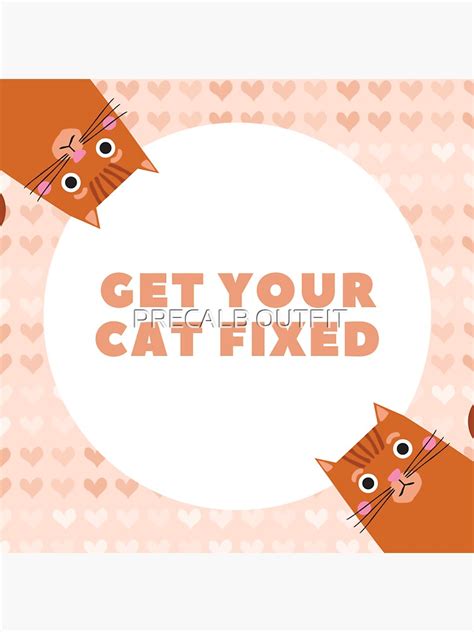 Get Your Cat Fixed Stickers Sticker For Sale By Calboutfit Redbubble
