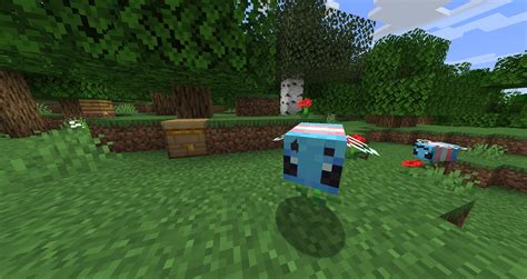The Minecraft Bee Is Trans Minecraft Texture Pack