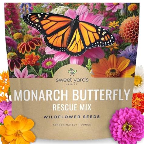 Best Plants To Attract Monarch Butterflies For Your Garden 2025