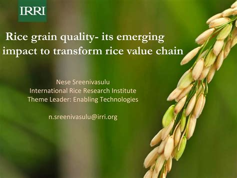 Rice Grain Quality And Its Value Chain Pdf Business Business And