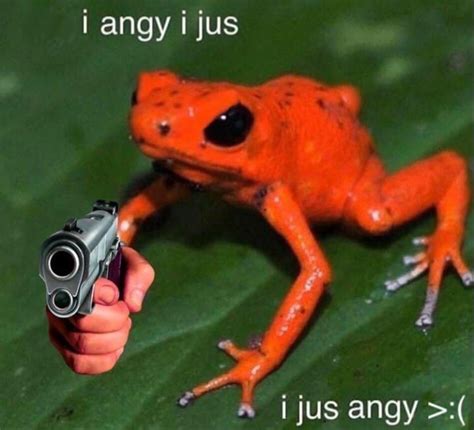 Blessed Frog Rblessedimages