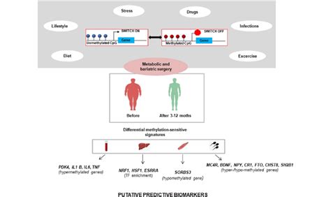 Dna Methylation As Potential Mediator Of Bariatric And Metabolic