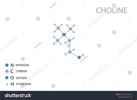 Choline Molecular Skeletal 3d Chemical Formula Stock Vector Royalty