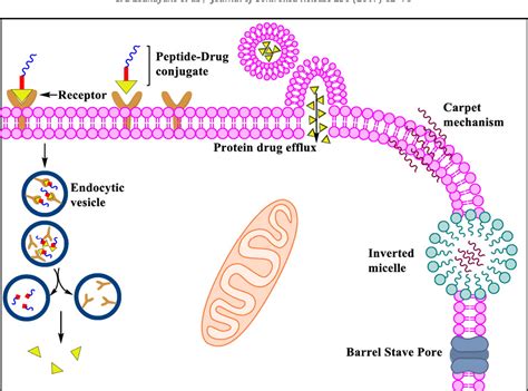 figure 2 from recent developments in anticancer drug delivery using