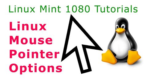 Linux Mouse Pointer Options Youtube