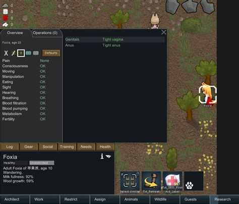 Mod Abandoned Rimworld Genital Support Patch For Lost Forest