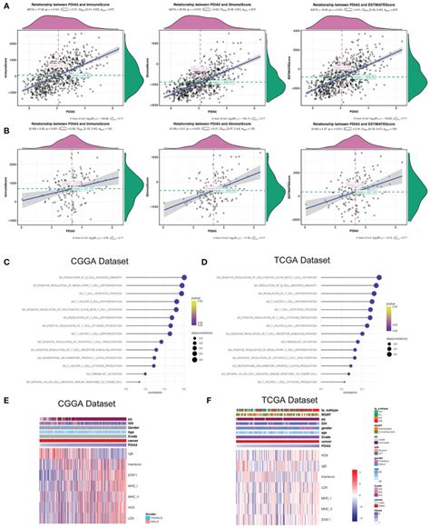 Pdia5 Is Correlated With Immune Infiltration And Predicts Poor