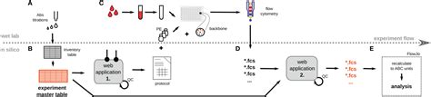 Frontiers Standardization Of Workflow And Flow Cytometry Panels For Quantitative Expression