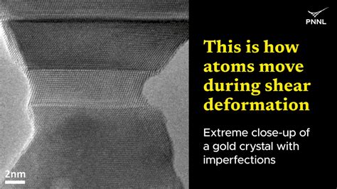 Gold Atom Microscope