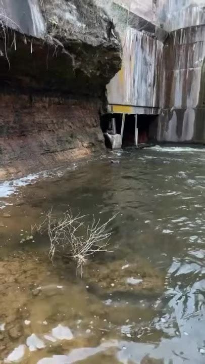 Awesome Beaver Meme By Dutta0101 Memedroid