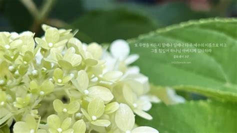 아버지께 감사 갓피플