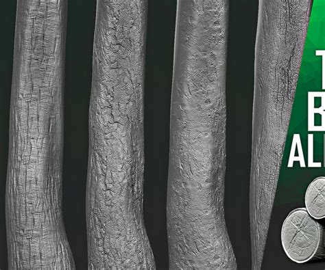 Artstation 35 Tree Bark Alphas Zbrush Substance Brushes