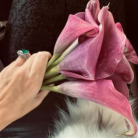 Dana Budeanu 2 Unicaro