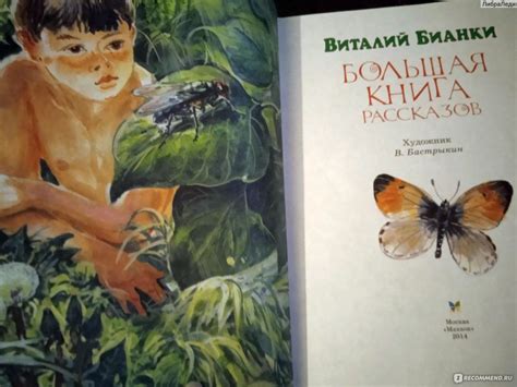 Большая книга рассказов. Виталий Бианки - «Великолепная книга со ...