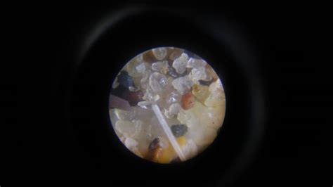 Sand Through A Cheap Science Museum Microscope At 40x Magnification R