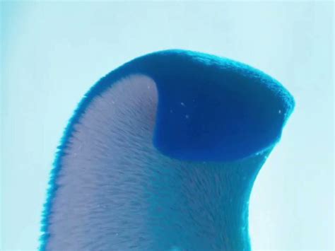 Solid Jj On Twitter Mvz9vzizbv Twitter