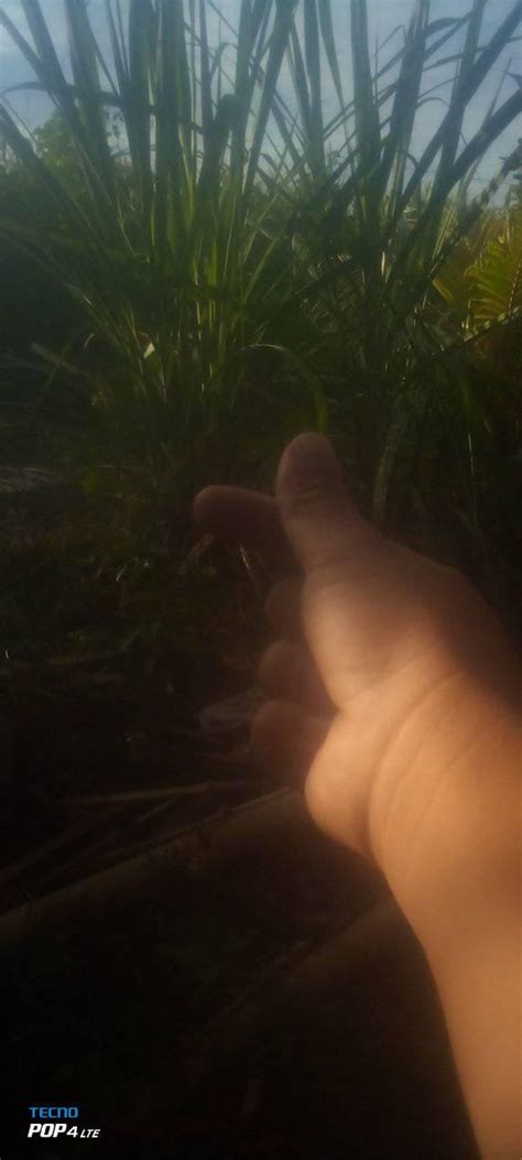 By Class Mate Facebook