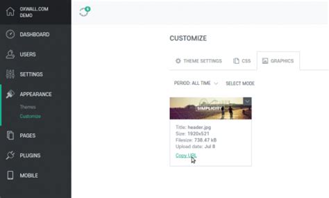 Appearance [oxwall Software Documentation]