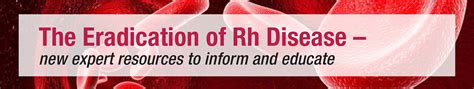 The Eradication Of Rh Disease Glowm