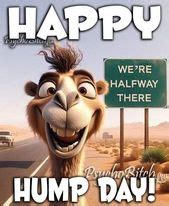 Happy Hump Day Humor 